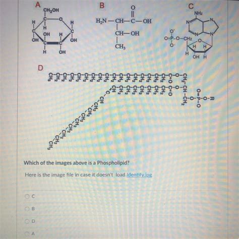 Solved А CH OH NH B II H N CH C OH H H OH H CH OH OH OH Chegg com