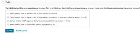Solved The Rna Dna Hybrid Hammerhead Ribozyme Structure