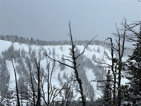 Beaver Creek Avalanches Gallatin National Forest Avalanche Center