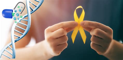 Genetic Testing For Cancer Cancer Treatment With Onco