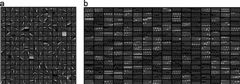The Low Frequency Bases And High Frequency Bases A Cosine Functions Download Scientific