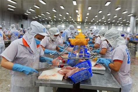 Hoa Kỳ giữ nguyên mức thuế chống phá giá với cá tra basa từ Việt Nam