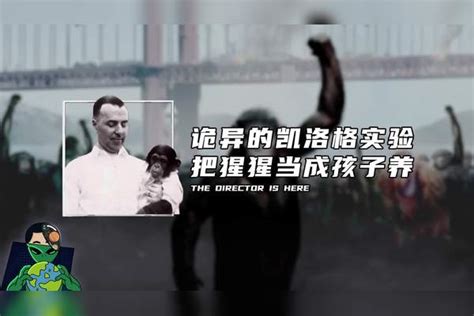 诡异的凯洛格实验，把猩猩当成孩子养凯洛格实验成孩子