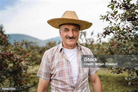 여름에 화창한 날에 모자와 셔츠를 입은 한 남자 노인 백인 농부가 아픈 체리 과수원 농장 정면보기 실제 사람들 농업 유기농 생산 개념 복사 공간 확인 건강한 생활방식에 대한