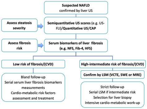 Algorithm To Manage Nafld Based On The Stratification Of The Risk Of