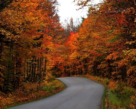 Autumn Path Wallpaper Free Wallpapers