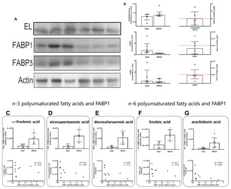 Fatty Acid Transporter Protein Fabp1 Is Decreased And Negatively
