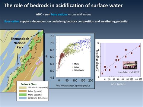 Ppt Ami Riscassi Drew Robison Todd Scanlon Jim Galloway Jack Cosby Rick Webb Powerpoint