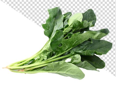 Premium PSD Spinach Png