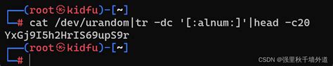 linux生成随机密码和根据密码批量生成用户 “云安全攻防入门” pdf csdn博客