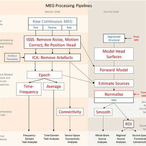 Schematic Illustration Of Mri Processing Pipelines Coloured Columns