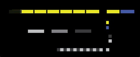 A Overview Of The Study And Long Term Data Collection Open Loop DBS Was Download Scientific