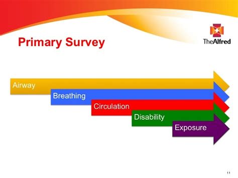 Primary Survey Jeremy Stevens