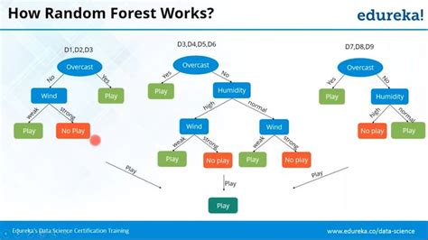 Machine Learning Full Course Learn Machine Learning Hours Machine Learning Tutorial