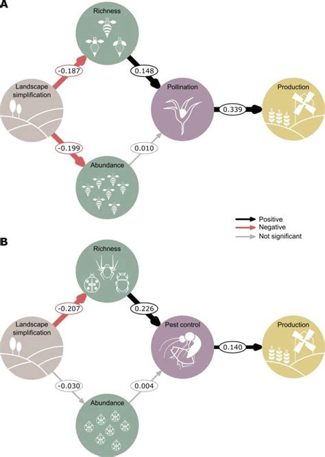 Direct And Cascading Effects Of Landscape Simplification On Final Crop Download Scientific