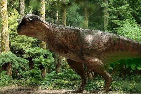Carnotaurus Dinozorlar