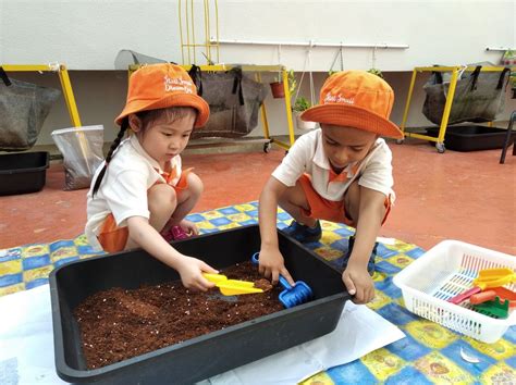 March Provocation Activities “garden Of Possibilities” Grow Your