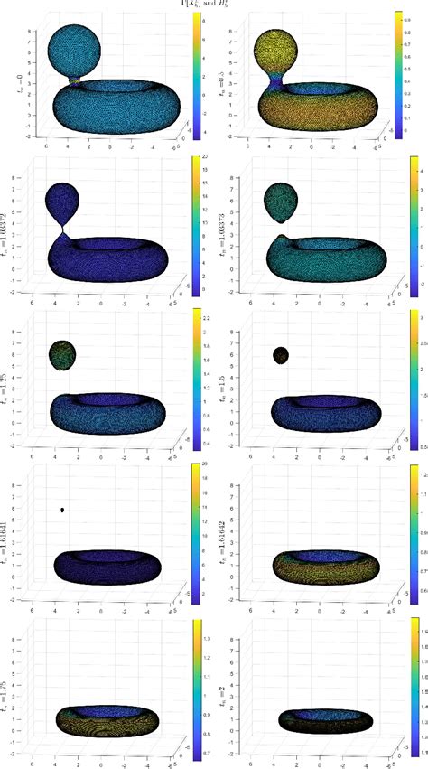 Figure From Numerical Surgery For Mean Curvature Flow Of Surfaces Semantic Scholar