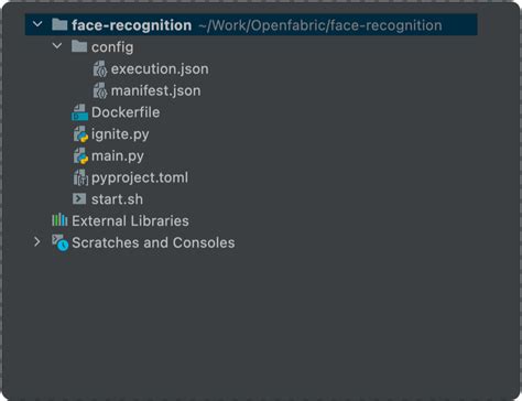 V Project Structure Openfabric Documentation Layer 1 For