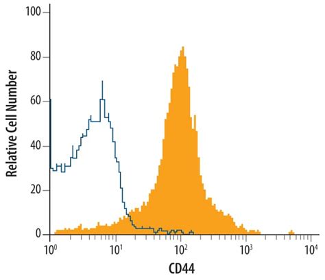 Rat Cd44 Antibody Mab6577 Randd Systems