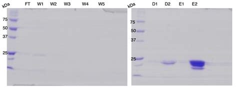 Teamqueens Canadaresults