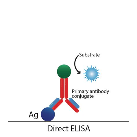 Direct Elisa