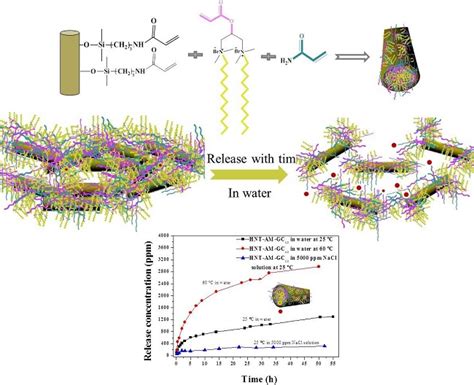 Polymers Special Issue Stimuli Responsive Polymers