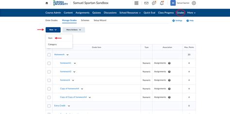 importing grades into a course aurora university