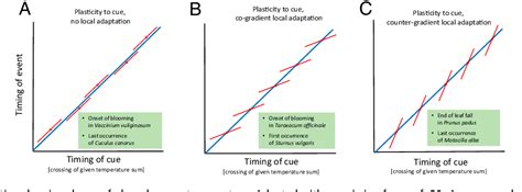Figure 1 From Differences In Spatial Versus Temporal Reaction Norms For