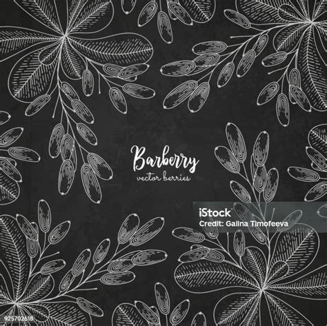 딸기와 건강 식품 디자인 서식 파일입니다 매 발톱 나무와 함께 손으로 그려진된 프레임입니다 여름 또는을 템플릿 칠판에 그레이트 레이블 메뉴 조리법 포스터 포장지 디자인 포장