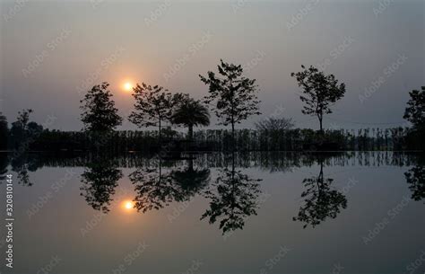 Tree Line Silhouette And Its Reflection From Water Surface In Sunrise Time Stock Photo Adobe Stock