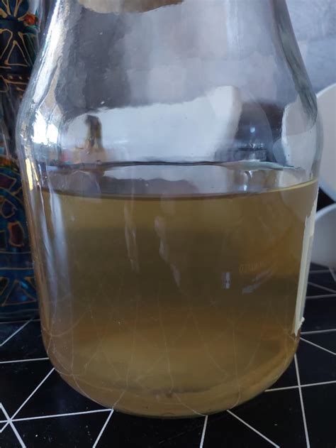 No Pellicle Forming Rkombucha