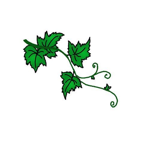 How To Draw Vines Step By Step Easy Drawing Guides Drawing Howtos