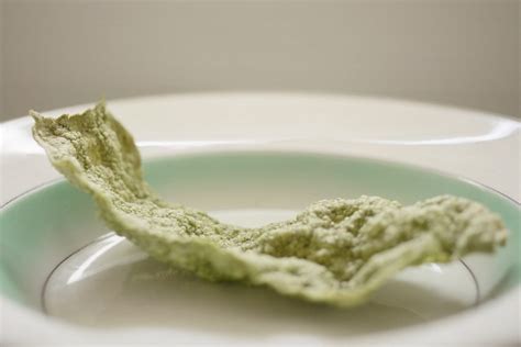 Space S Algae Dome Imagines A Future Where Buildings Produce Food