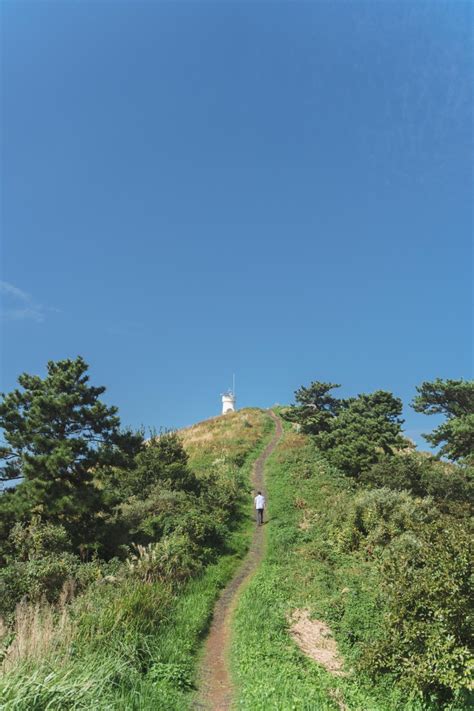 5월 제주도 여행 봄 냄새 가득한 제주 오름 추천 3 Zum 허브
