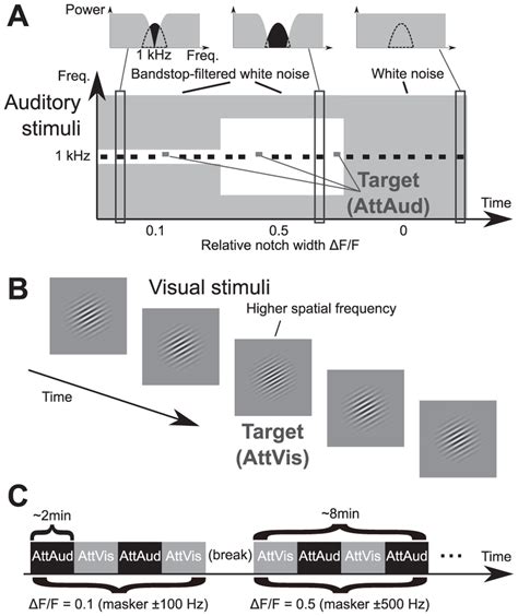 A Schematic Illustration Of The Paradigm A During Selective Auditory Download Scientific