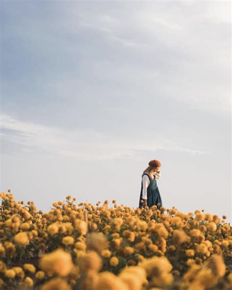 Ying Yong Flower Garden Chiang Mai Recreate Dreamy K Drama Photos