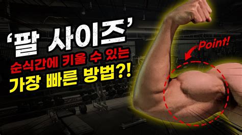 팔 근육을 가장 빠르게 키우는 팔 운동 슈퍼세트 루틴 이두 삼두 운동 루틴 팔 두꺼워 지는 운동 Youtube
