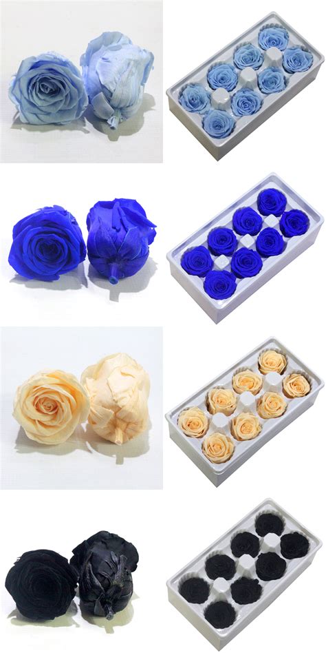 상품 상세보기 프리저브드드라이플라워 프리저브드 장미53b급프리저브드8개중국산연블루b급