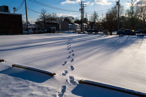 The Coldest Temperature Recorded In Every Us State