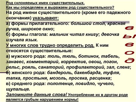Род имён существительных презентация онлайн