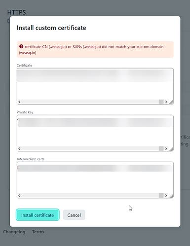 Custom Certificate With Wildcard Domain Certificate CN Mydomain Io