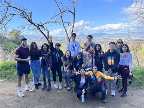 Gallery Multisensory Processing Lab