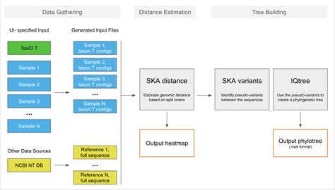 phylogenetic tree pipeline for mngs samples cz id help center
