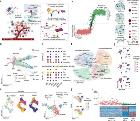 Neighborhood Analysis Of Myeloidlymphoid Interactions A Workflow