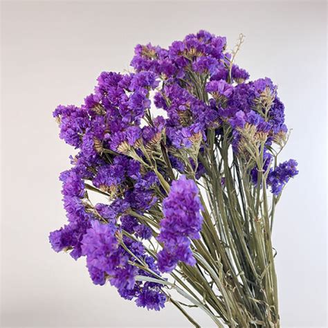 Dried Purple Statice Flowers