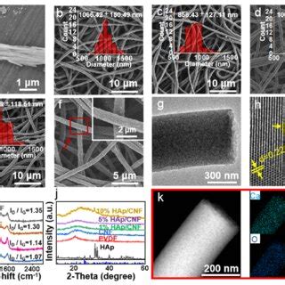 A SEM Image Of HAp B SEM Image Of CNF C SEM Image Of 1 Download Scientific Diagram