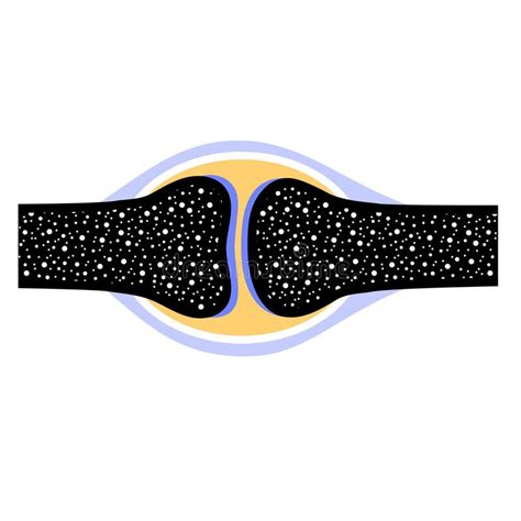 Synovial Joint Poster Stock Vector Illustration Of Healthy 307783229