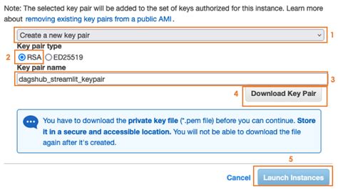 Nlp Mlops Project With Dagshub Deploy Your Streamlit App On Aws Ec2