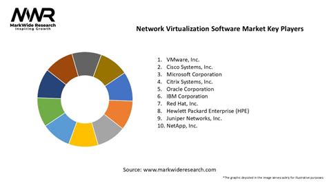 Network Virtualization Software Market Analysis Industry Size Share Research Report Insights
